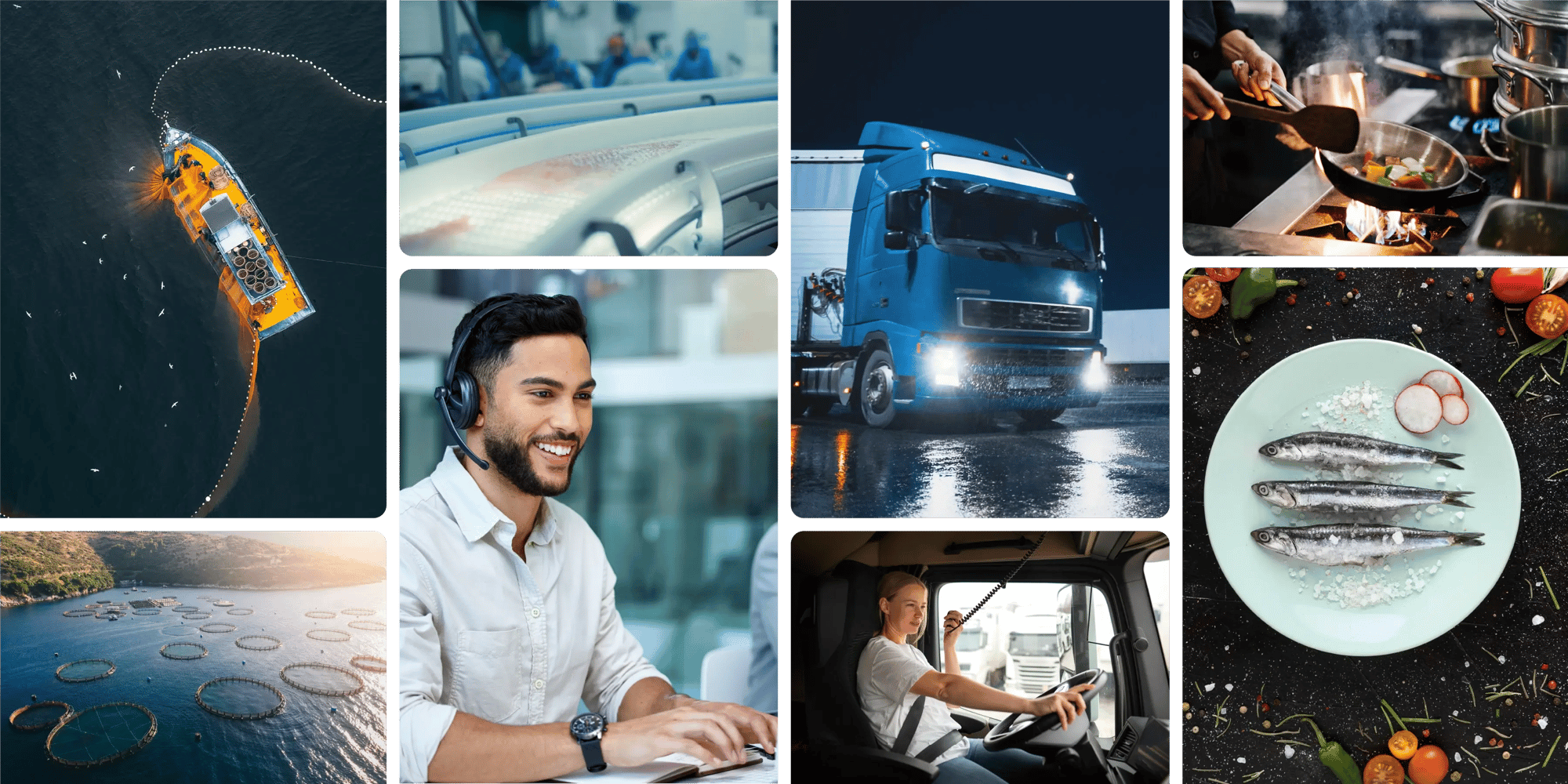 Our Platform | Seafood ERP Software | Wisefish